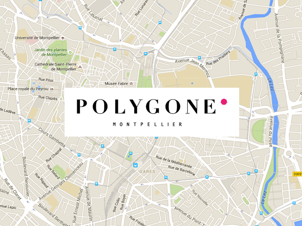 Montepellier, Polygone Shopping Mall: Pedestrian Mobility Study by ...