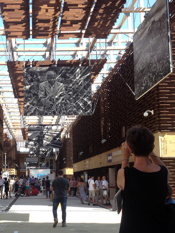 EXPO 2015 Pavilions, Clusters and Thematic Areas - Systematica