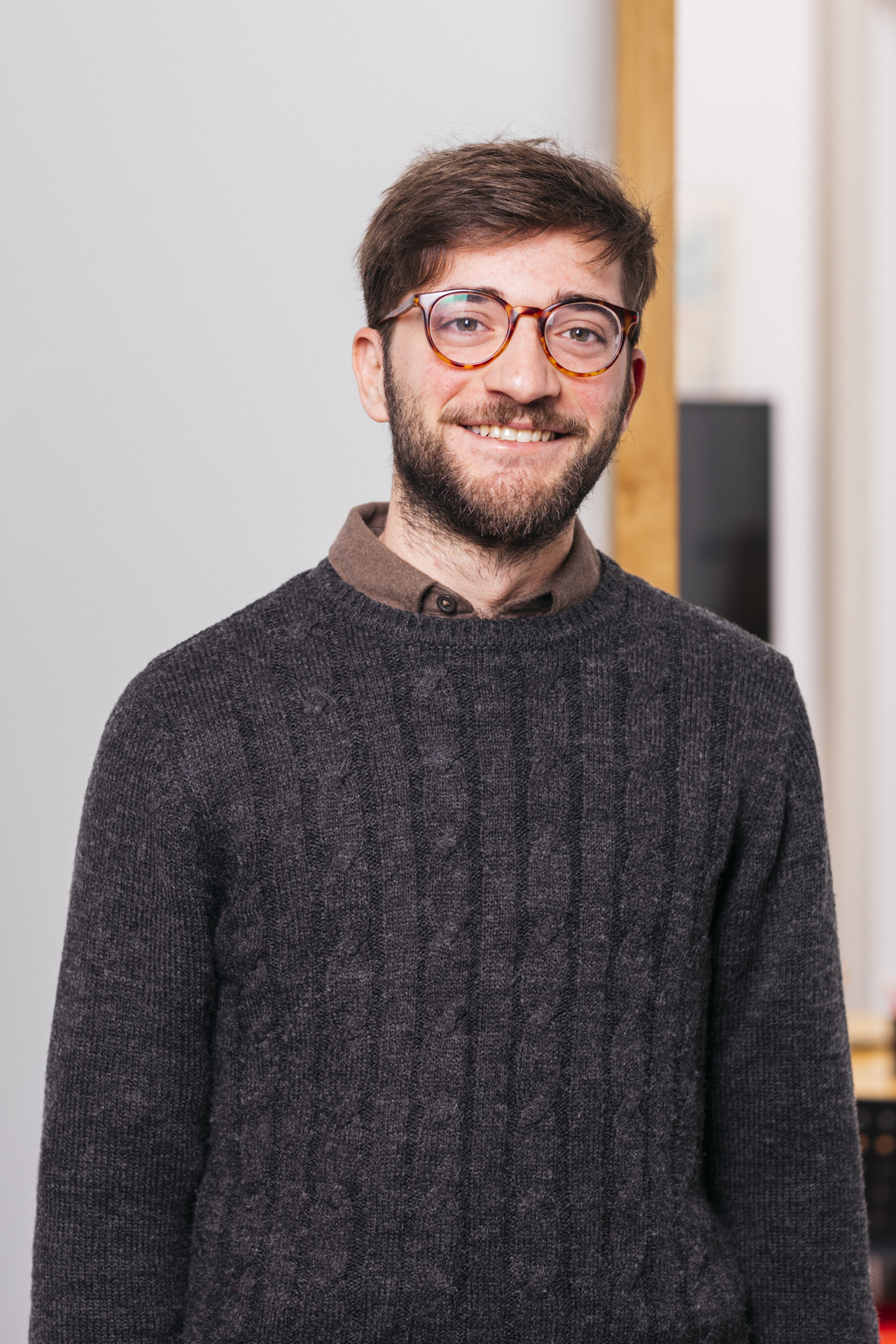 Alessandro Pedrazzoli - Systematica